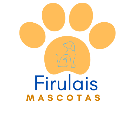 Perros archivos | FiruMascotas